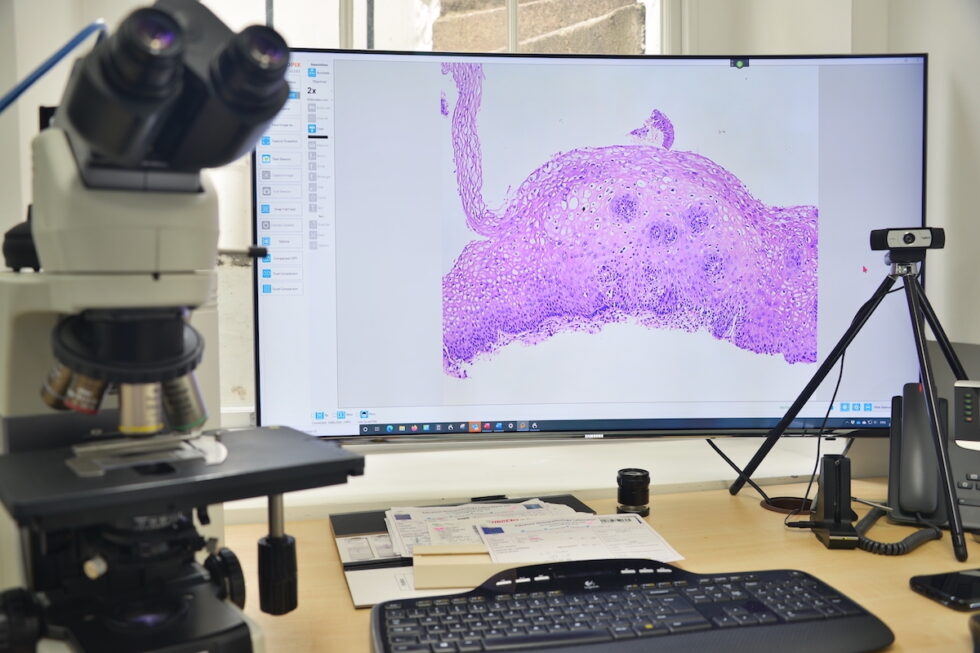 Consultant Histopathologists Laboratory Services In London