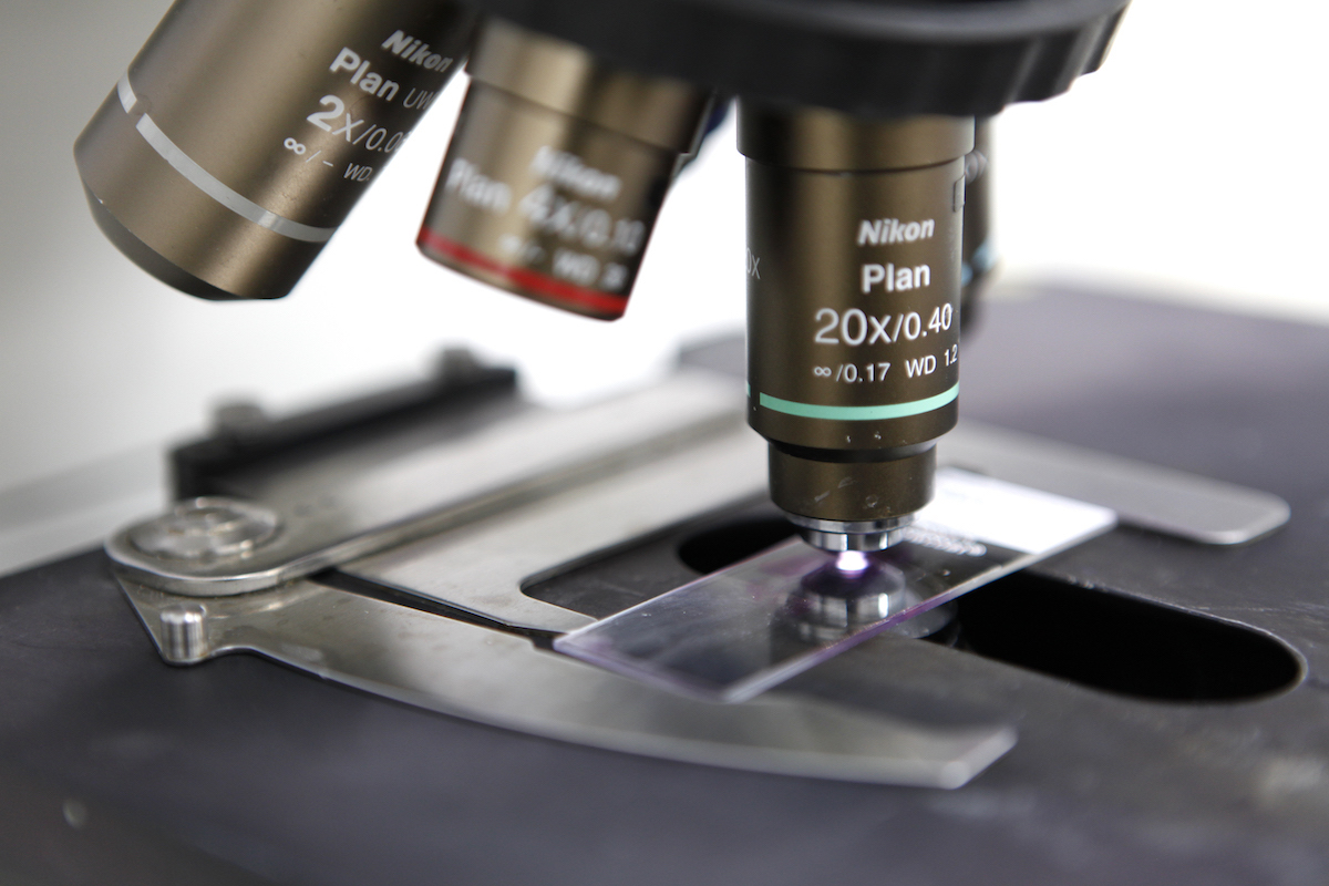 Pricing Update - AH Lab